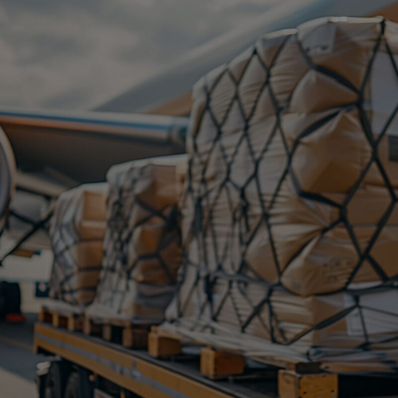 About Us - TRANSMILE